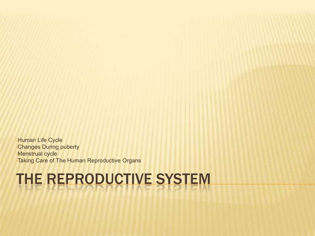 The reproductive system | PPT