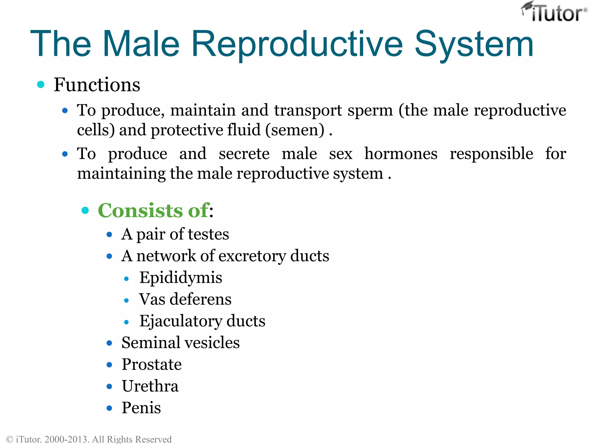 The Reproductive System | PPTX