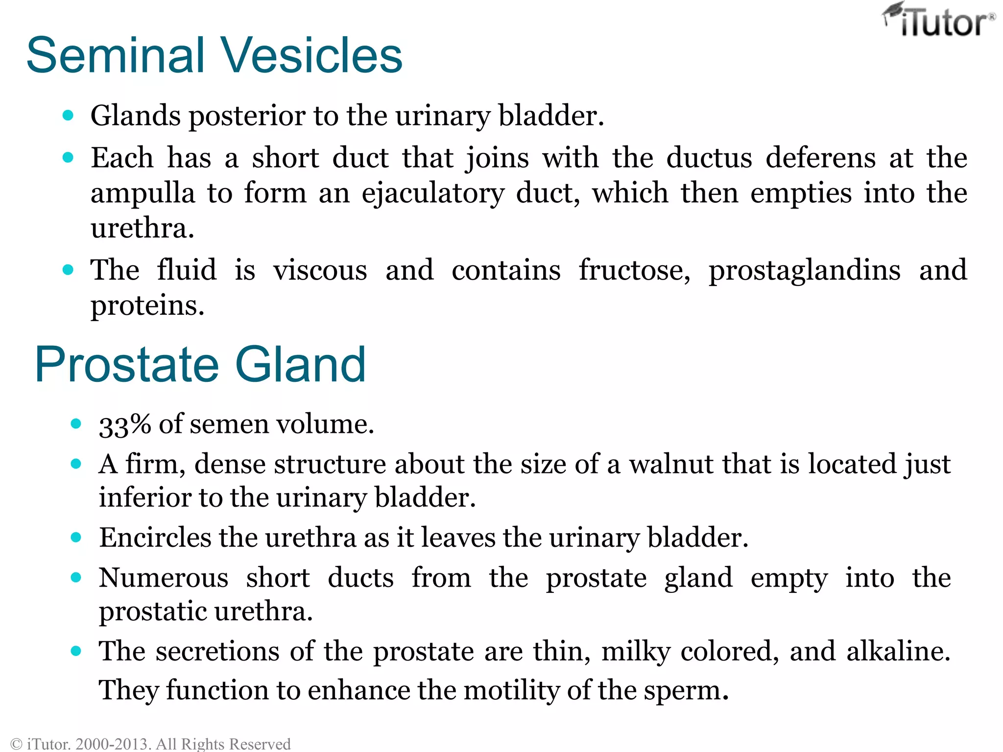 The Reproductive System | PPTX