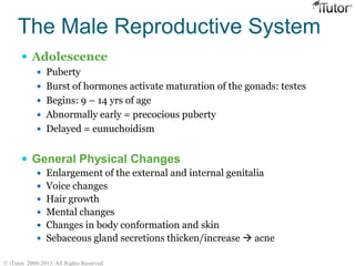 The Reproductive System | PPTX