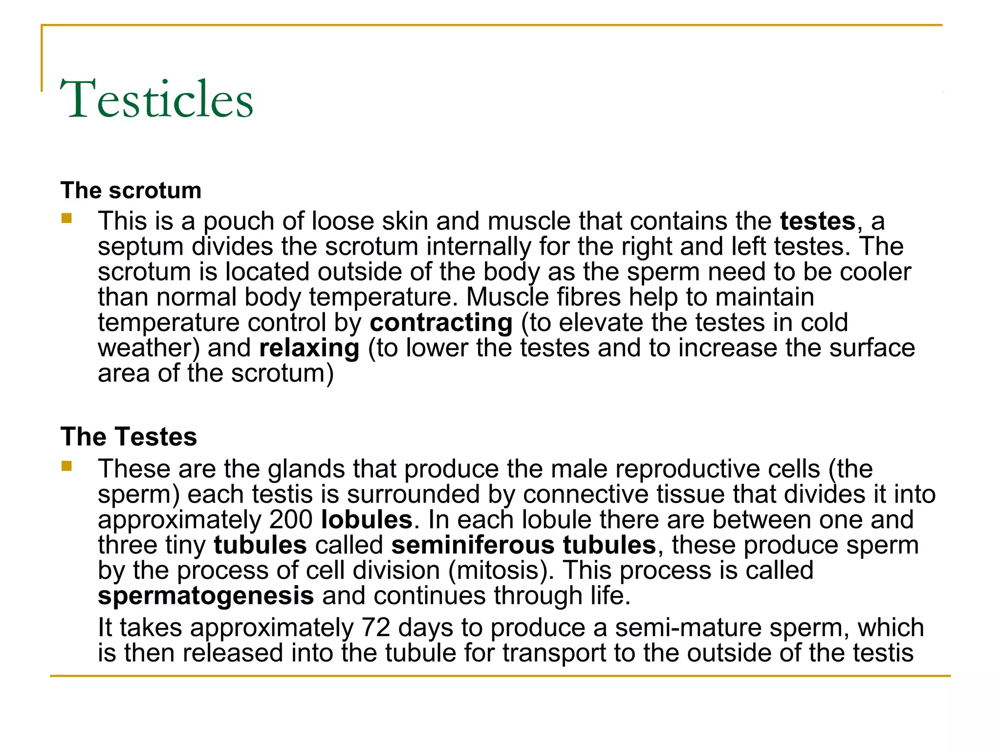 The reproductive system | PPT