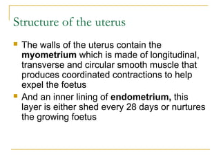 The reproductive system | PPT
