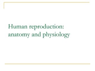 The reproductive system | PPT