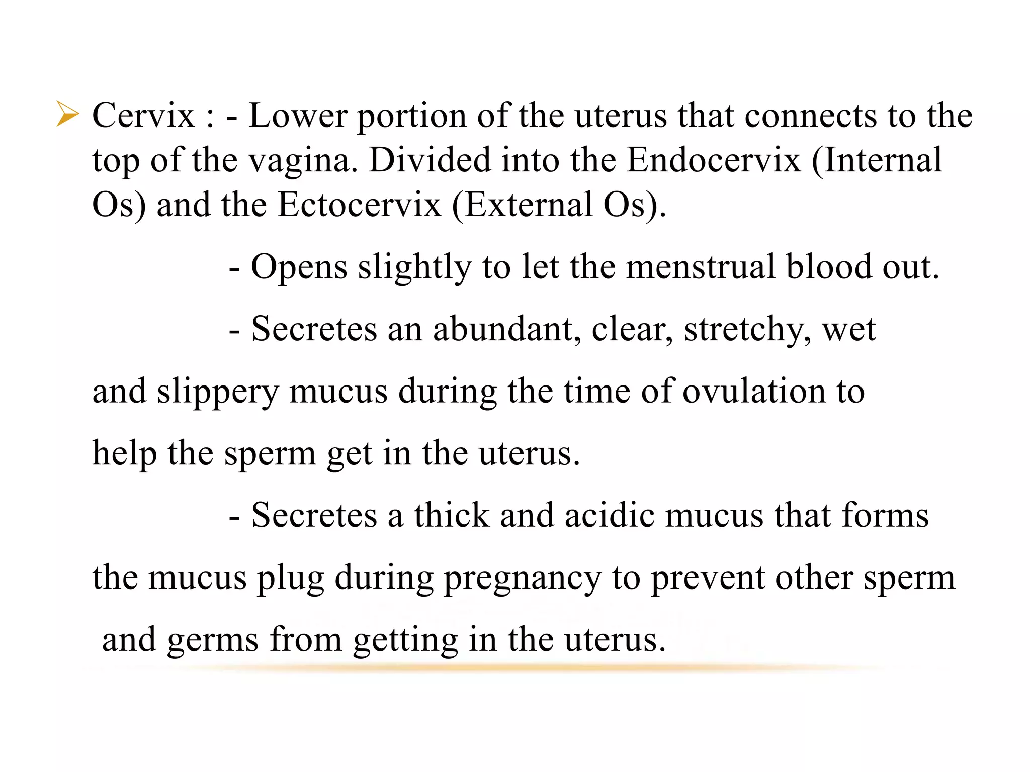 The reproductive system | PPT