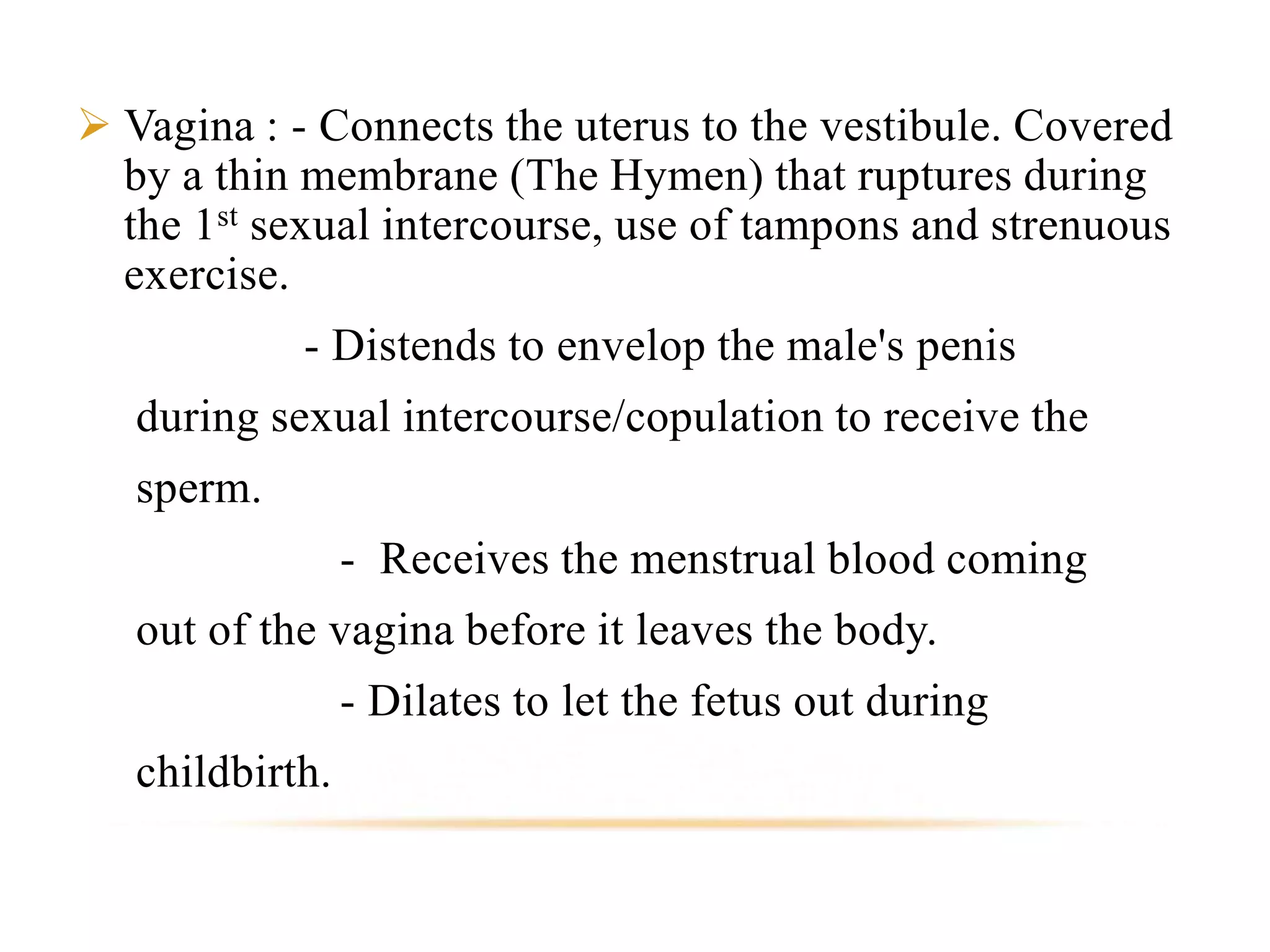 The reproductive system | PPT