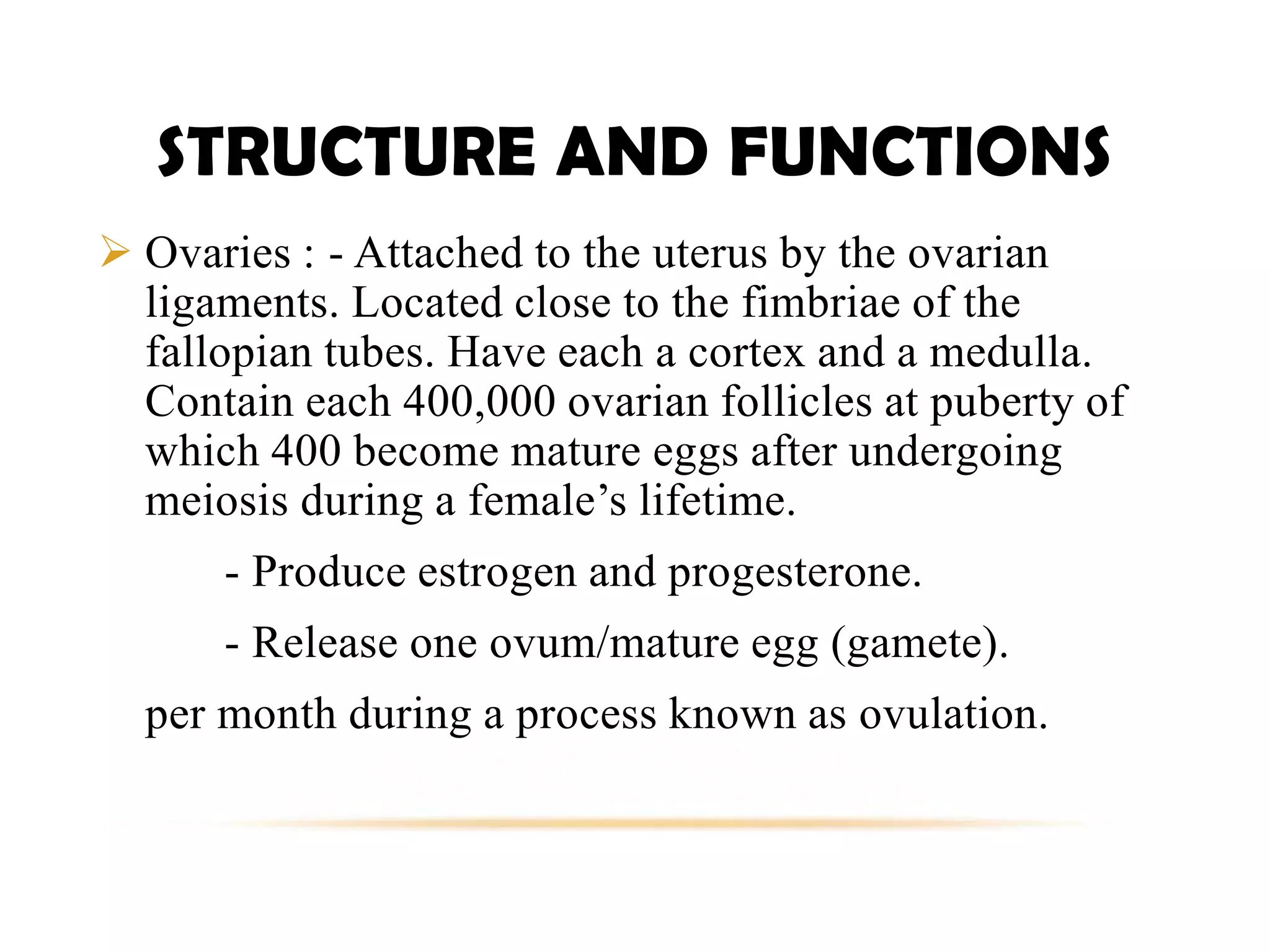 The reproductive system | PDF