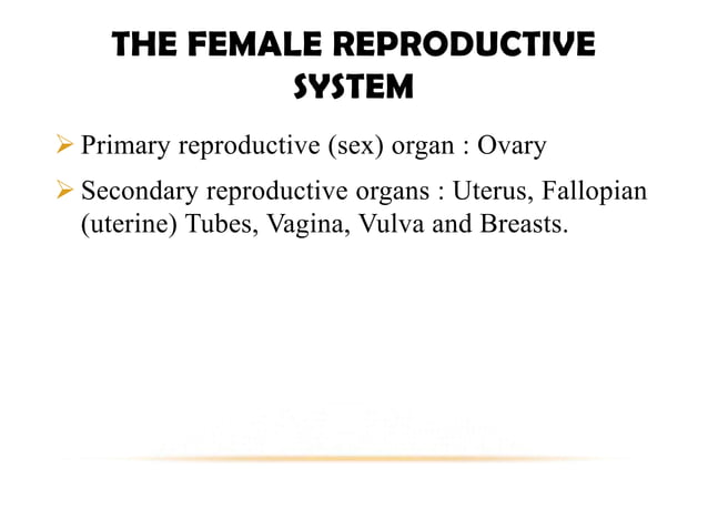 The reproductive system | PPT