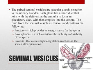 The reproductive system | PPTX