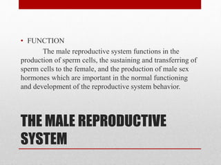 The reproductive system | PPTX