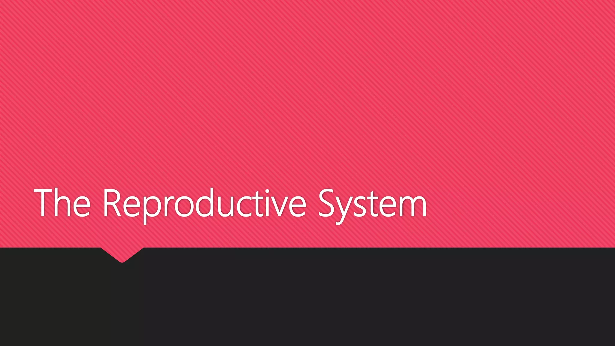 Science -The Reproductive System | PPTX