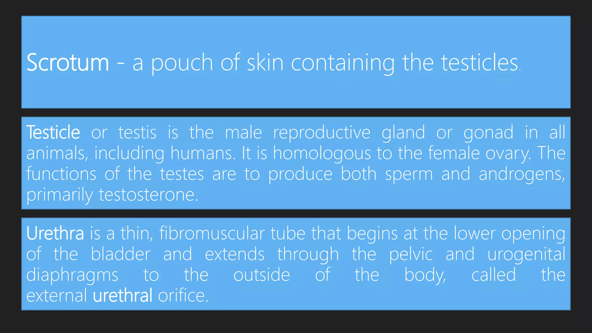 Science -The Reproductive System | PPTX