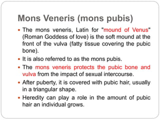 THE REPRODUCTIVE SYSTEM.pptx