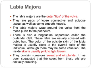 THE REPRODUCTIVE SYSTEM.pptx