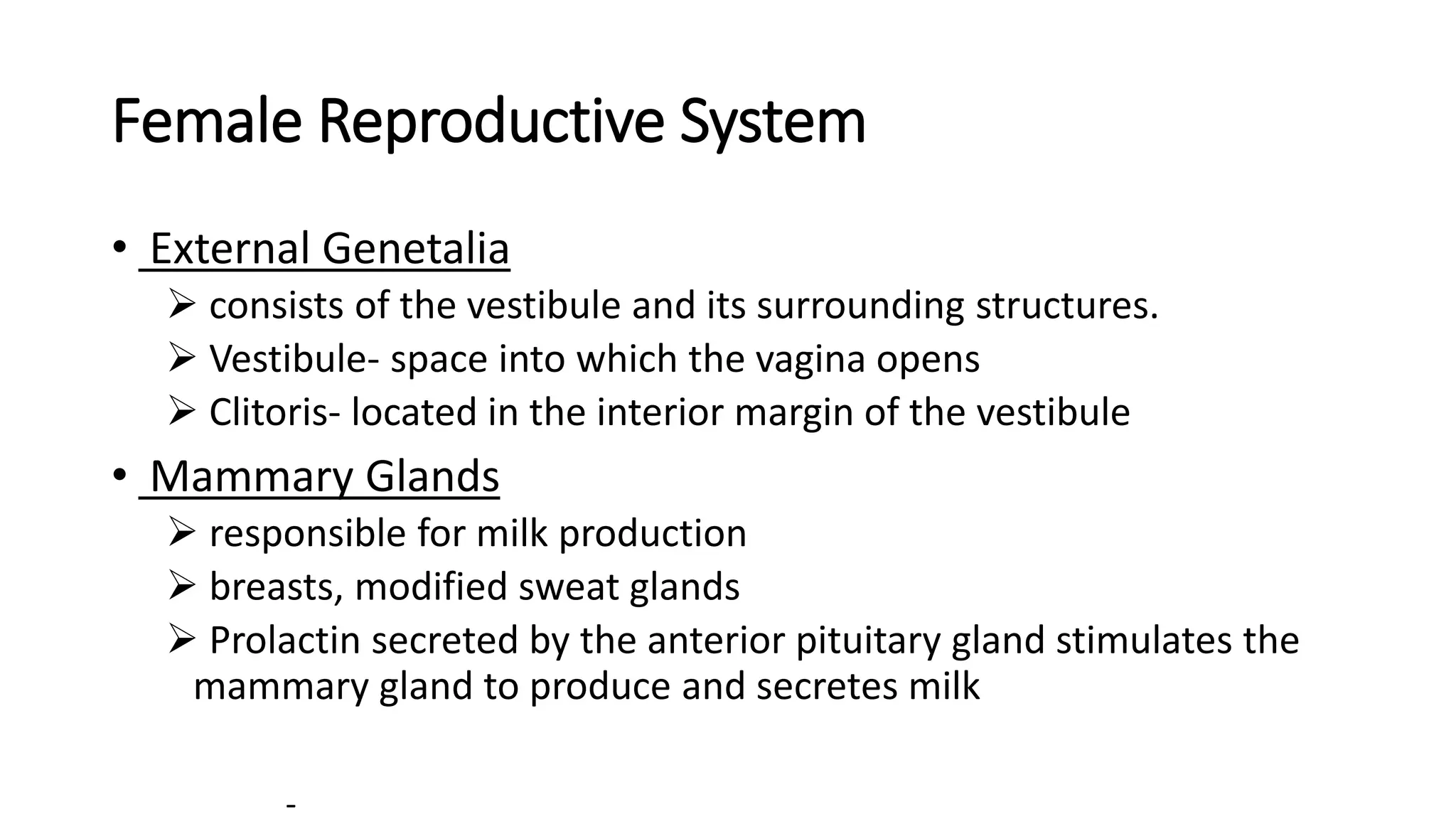 The Human Reproductive System Male ang Female.pptx