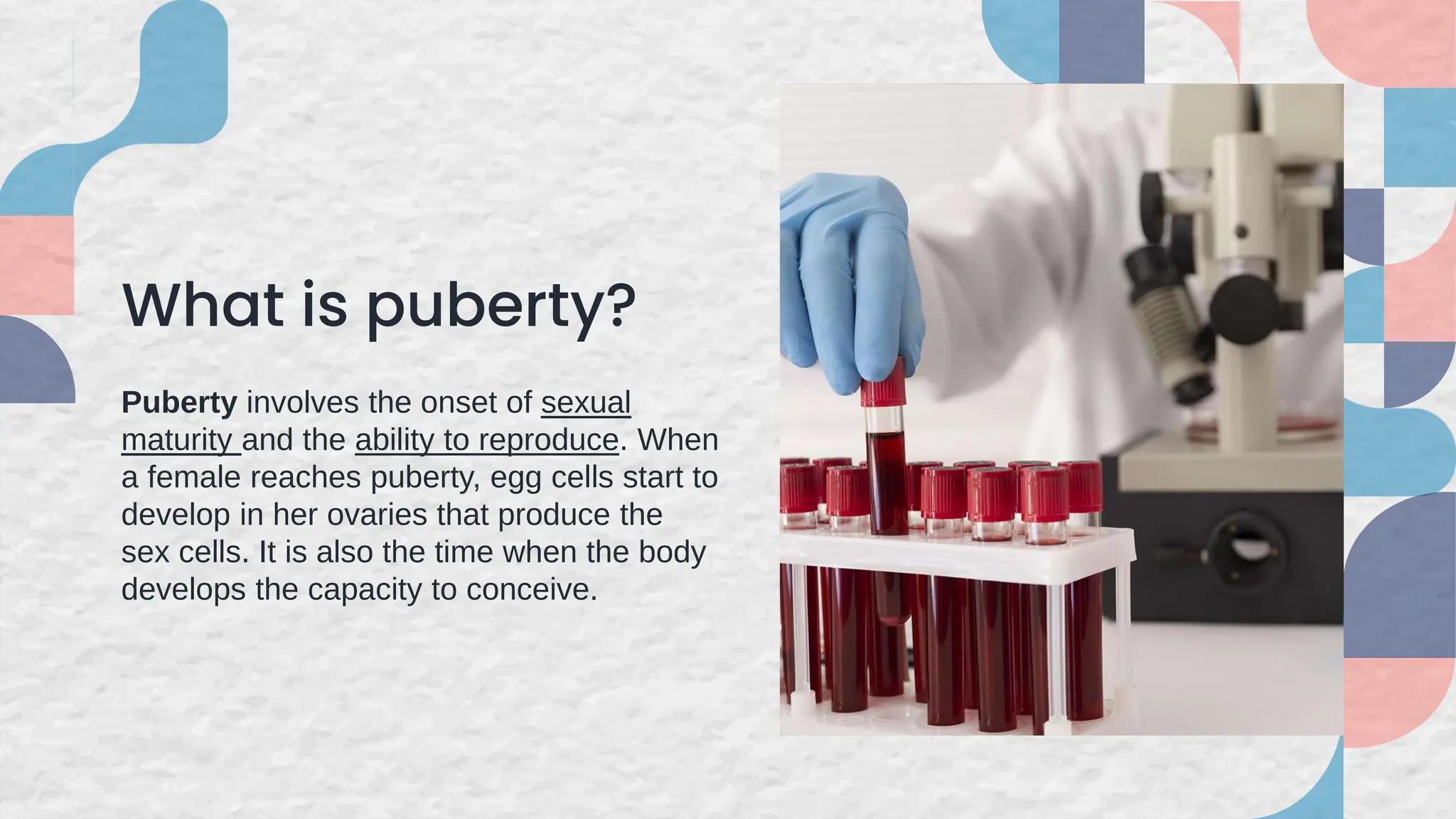 Grade 10 Quarter 3: The Reproductive System | PPTX