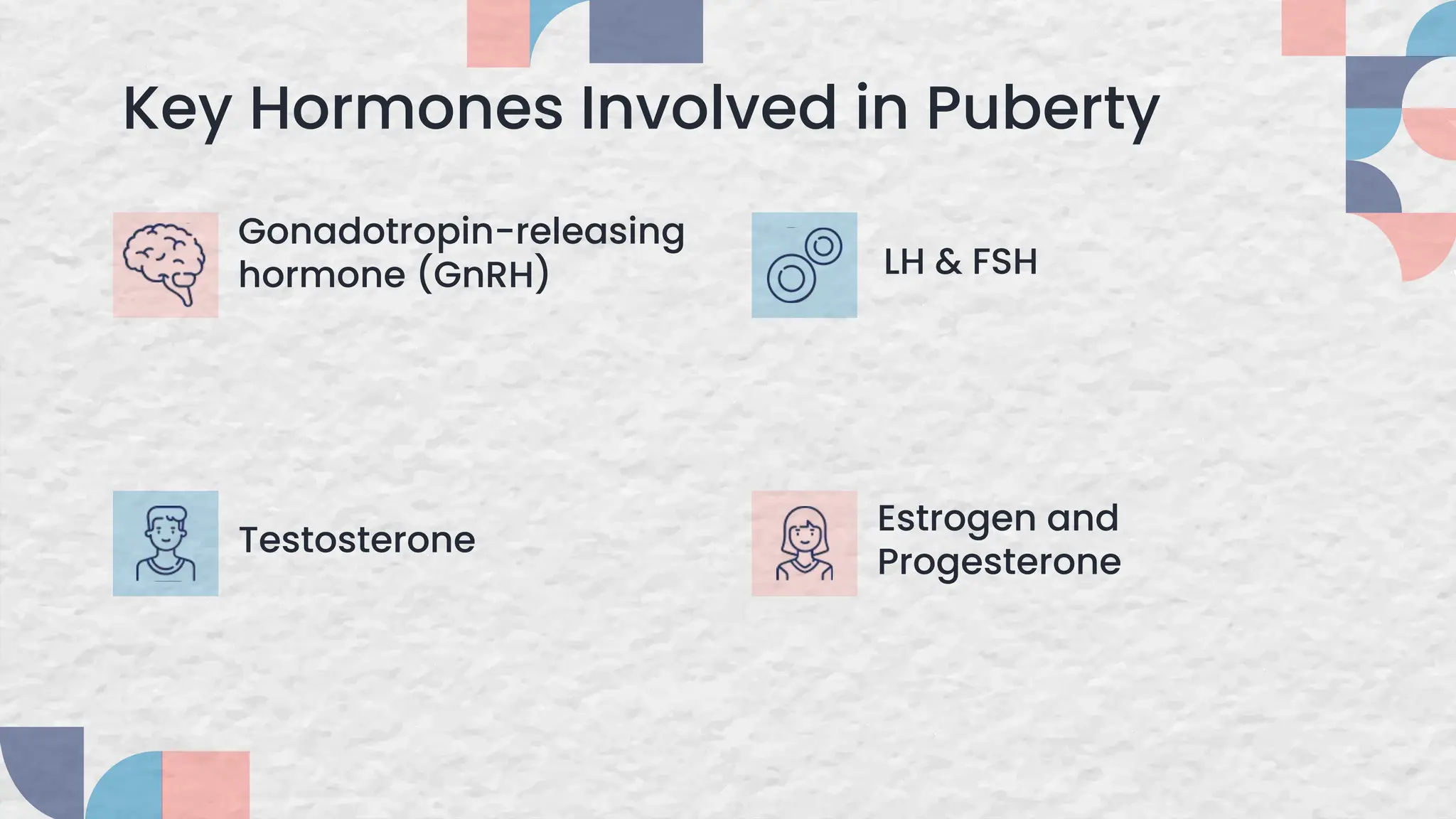Grade 10 Quarter 3: The Reproductive System | PPTX