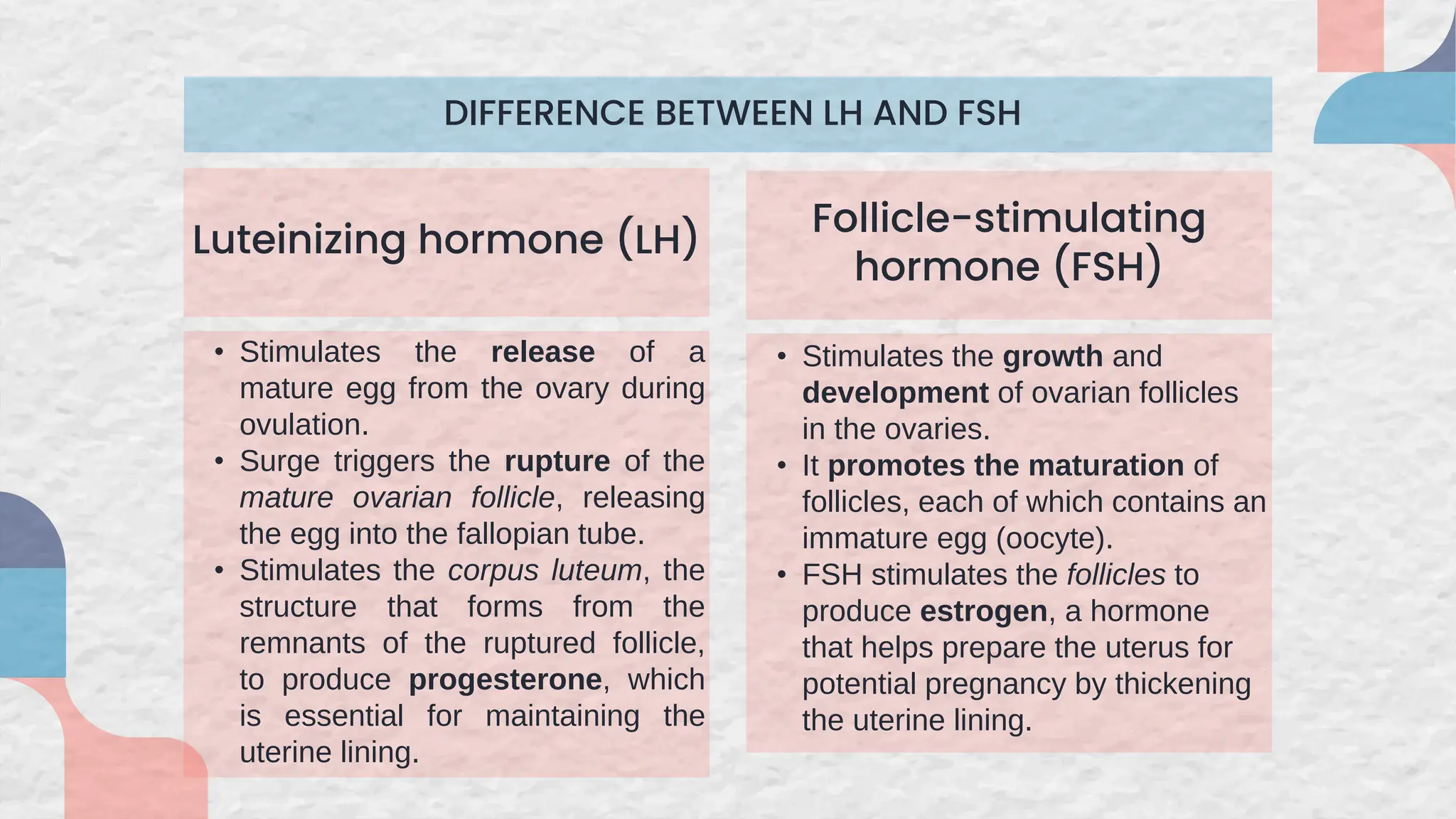 Grade 10 Quarter 3: The Reproductive System | PPTX