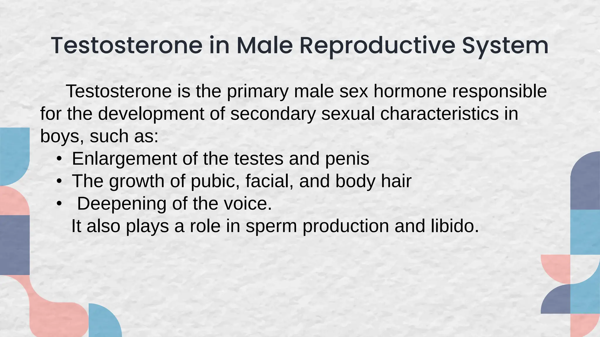 Grade 10 Quarter 3: The Reproductive System | PPTX