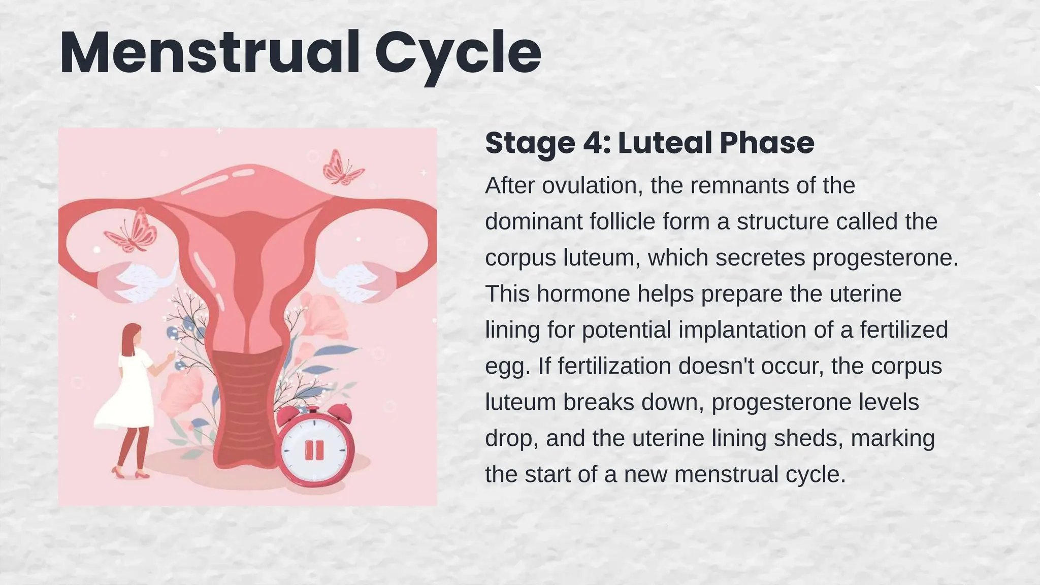 Grade 10 Quarter 3: The Reproductive System | PPTX
