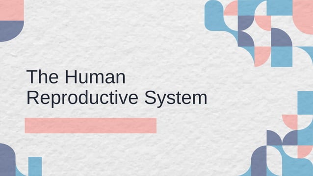 Grade 10 Quarter 3: The Reproductive System | PPTX