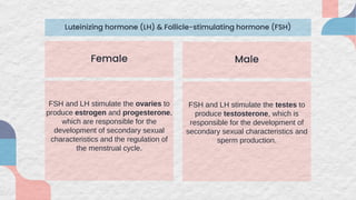 Grade 10 Quarter 3: The Reproductive System | PPTX