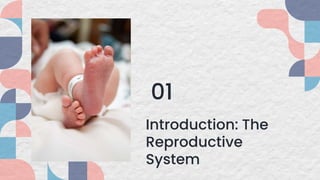 Grade 10 Quarter 3: The Reproductive System | PPTX