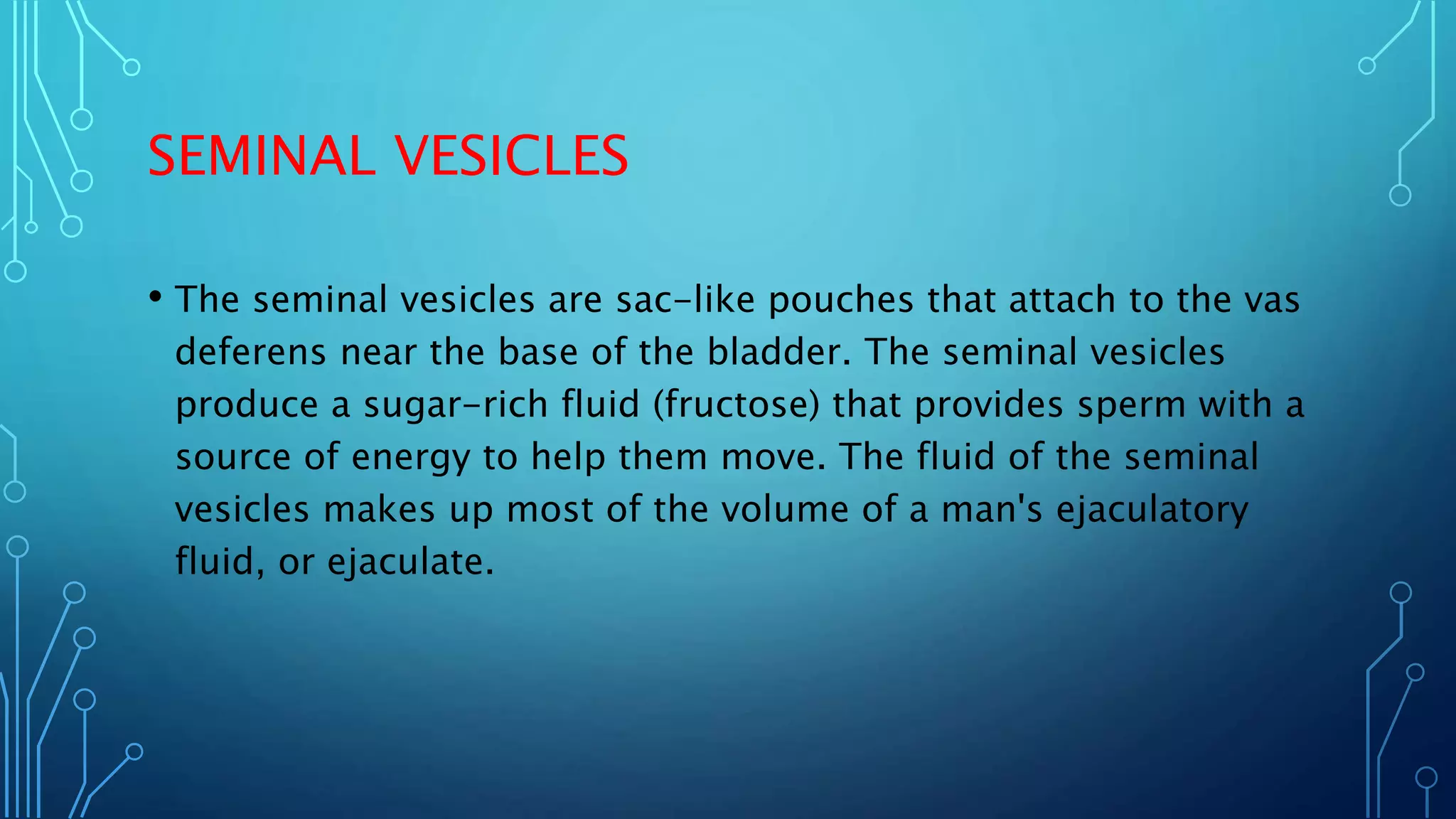 The Male and Female Reproductive System and it's functions | PPTX