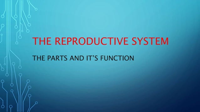 The Male and Female Reproductive System and it's functions | PPTX
