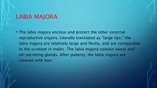 The Male and Female Reproductive System and it's functions | PPTX