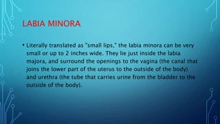 The Male and Female Reproductive System and it's functions | PPTX