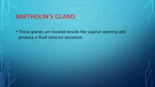 The Male and Female Reproductive System and it's functions | PPTX