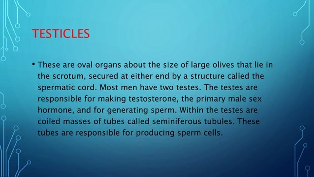 The Male and Female Reproductive System and it's functions | PPTX