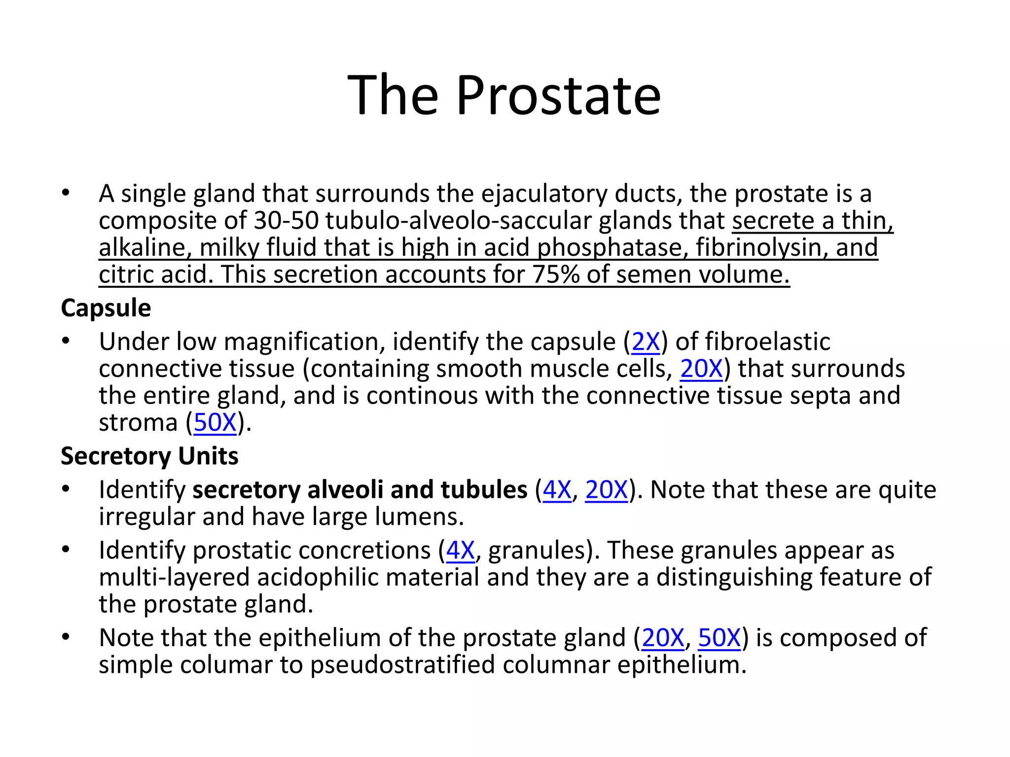The reproductive system ppt | PPTX