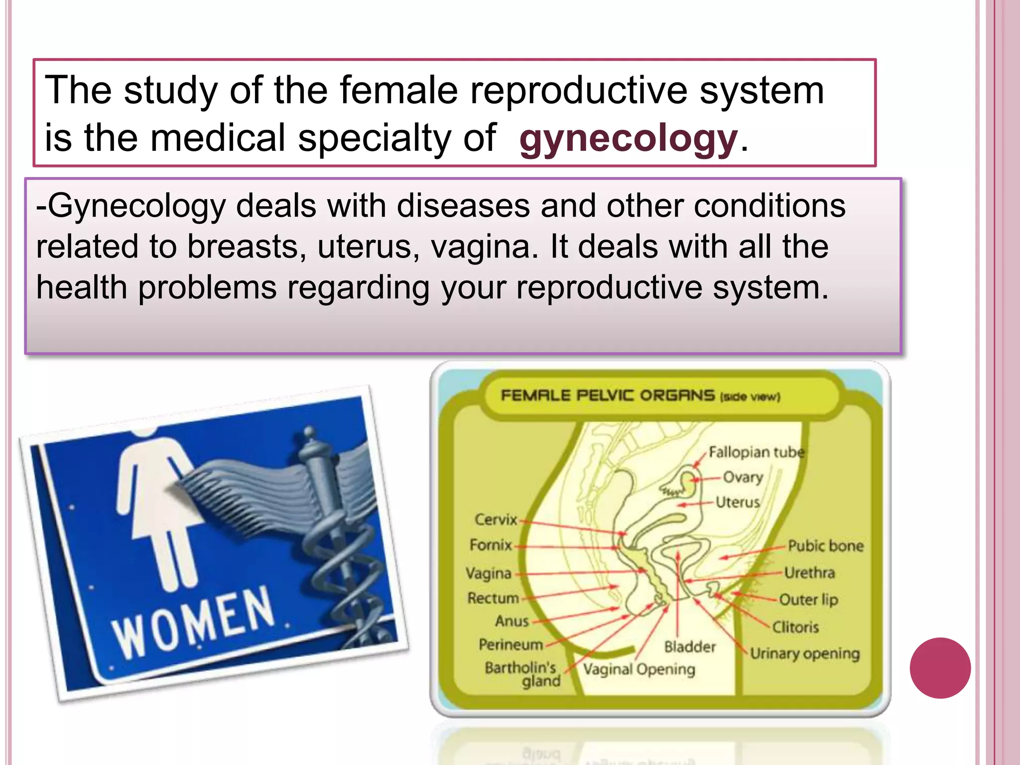 The reproductive system presentation | PPTX