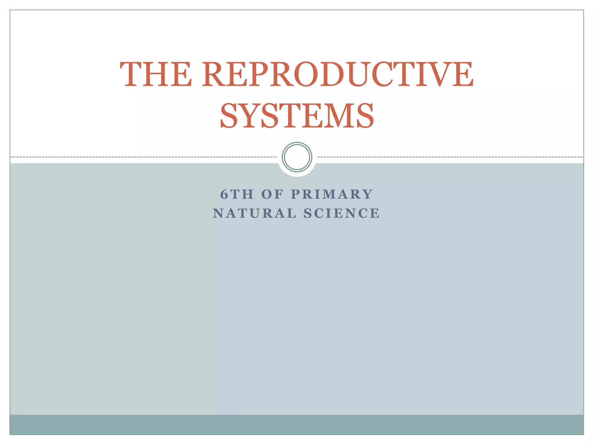 The reproductive systems 6th primary | PPTX