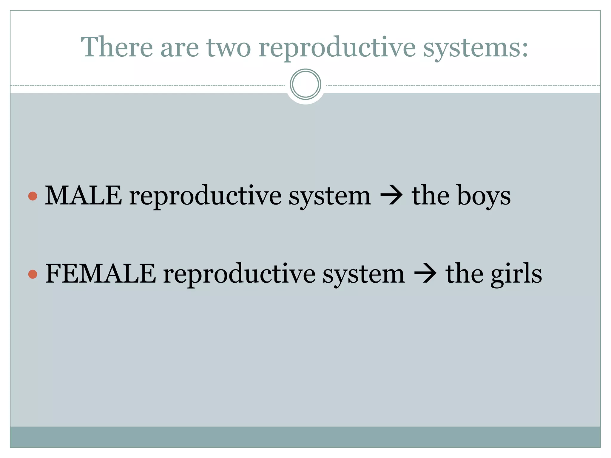 The reproductive systems 6th primary | PPTX