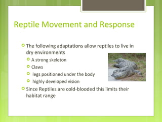 thereptilebody-160118035143.pdf