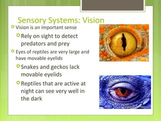 thereptilebody-160118035143.pdf