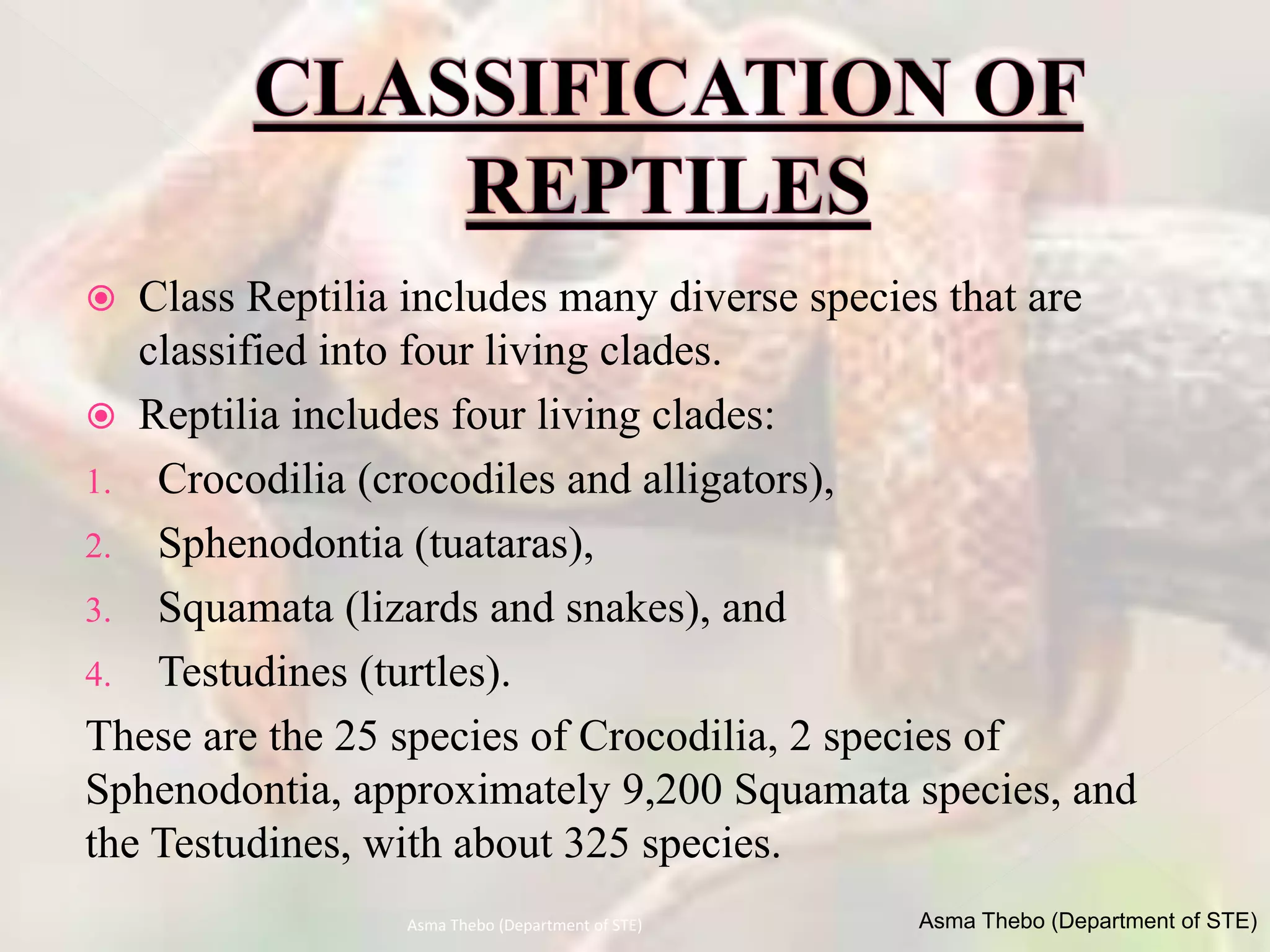 The reptiles | PPT