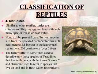 The reptiles | PPTX