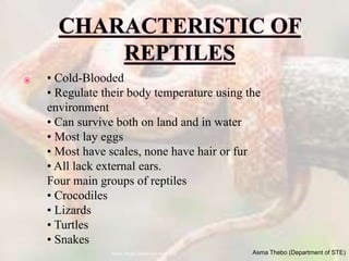 The reptiles | PPTX