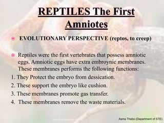 The reptiles | PPTX