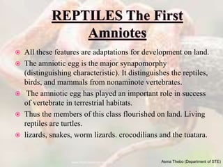 The reptiles | PPT