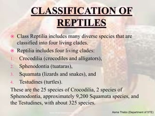 The reptiles | PPT