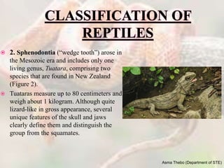 The reptiles | PPTX