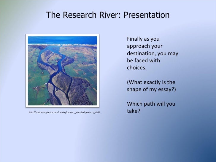 The research river