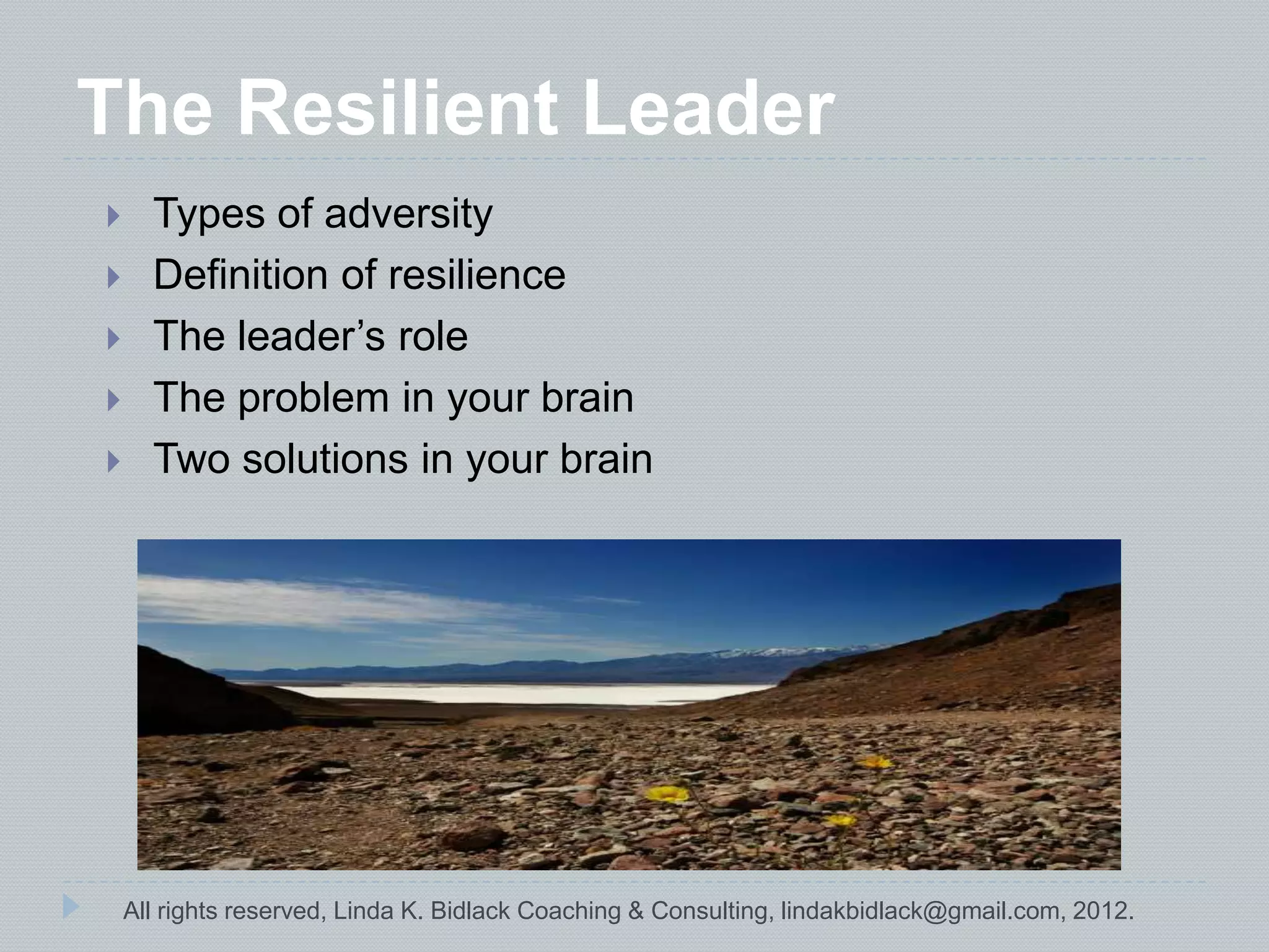 The Resilient Leader | PPTX