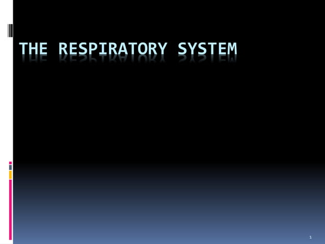 The resp.system | PPT