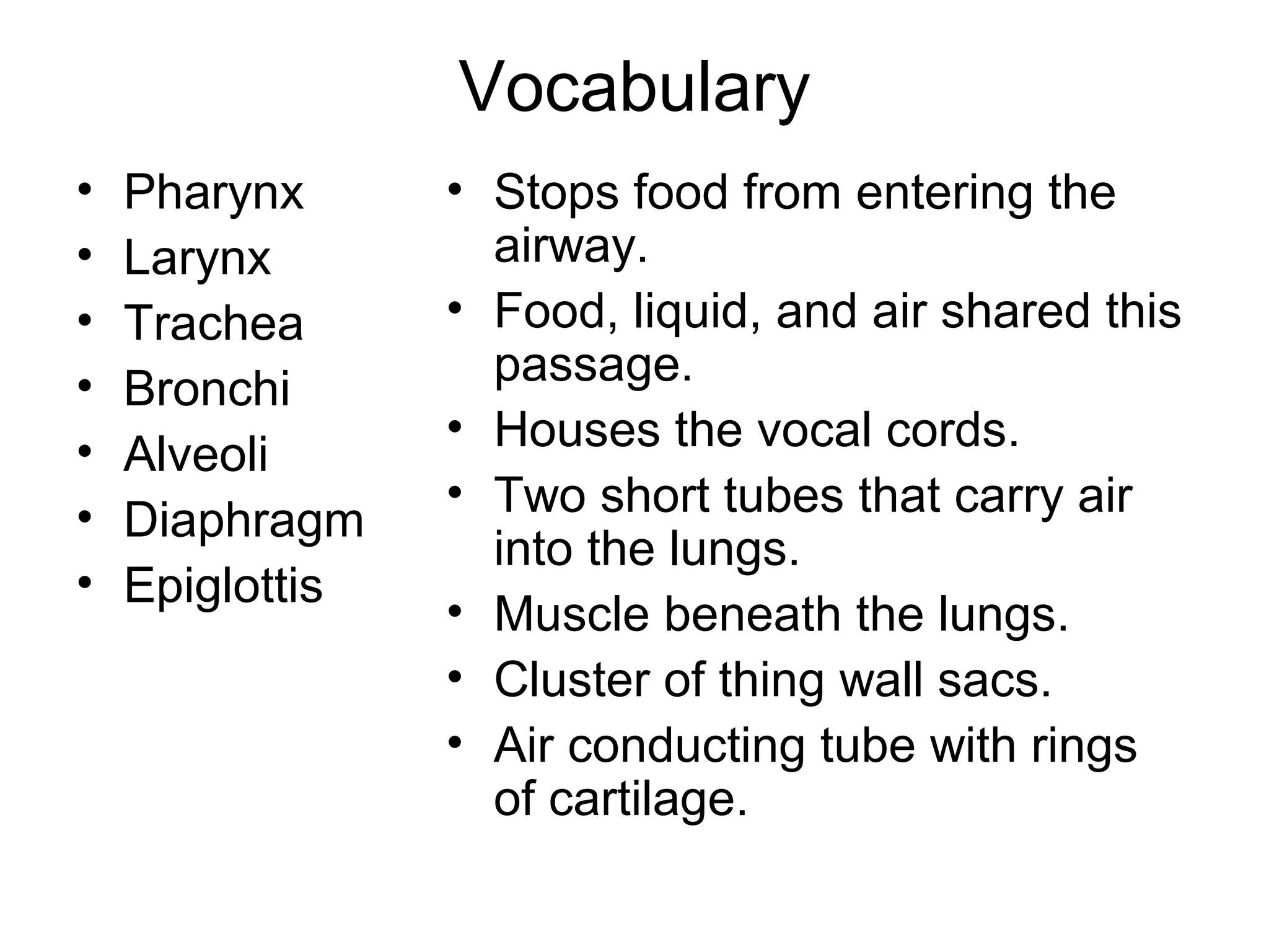 The respiratory system | PPT