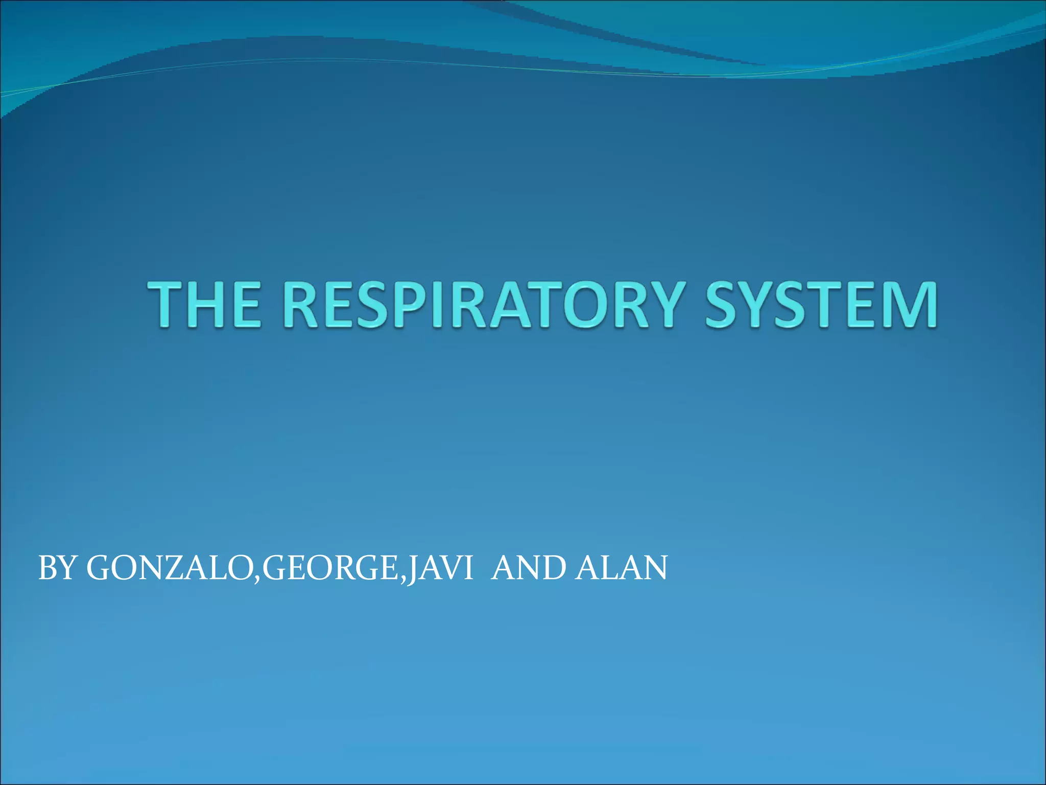 The respiratory system | PPT